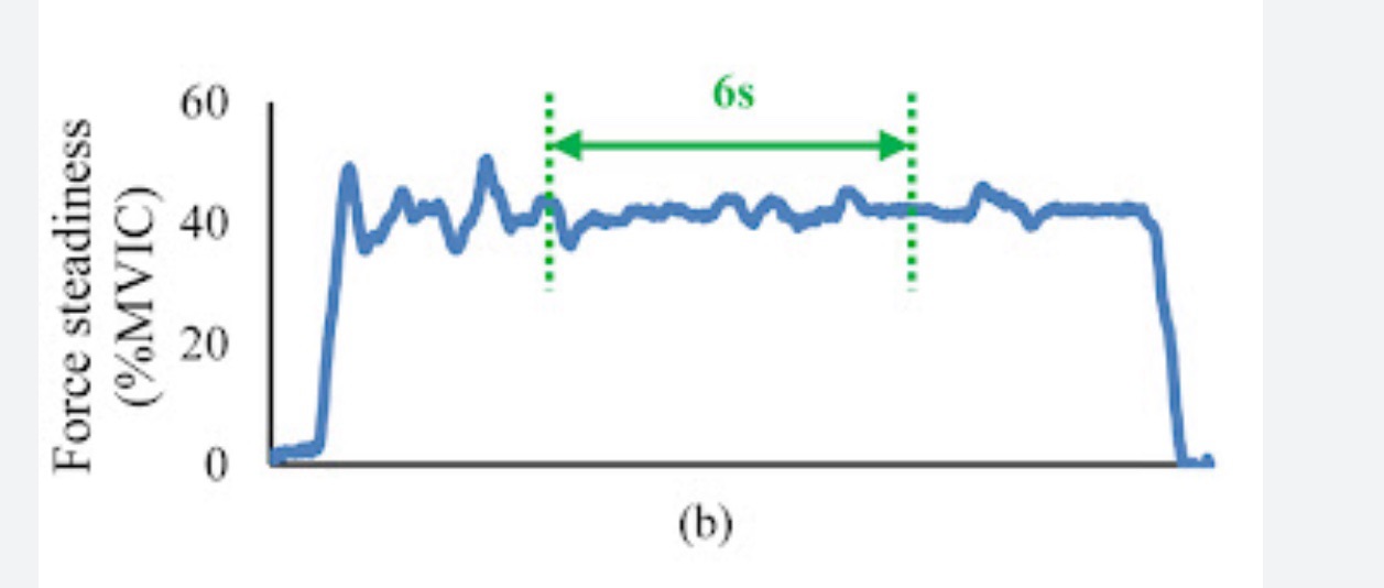 Enhancing Rehabilitation with Force Steadiness Testing – Shapiro's ...
